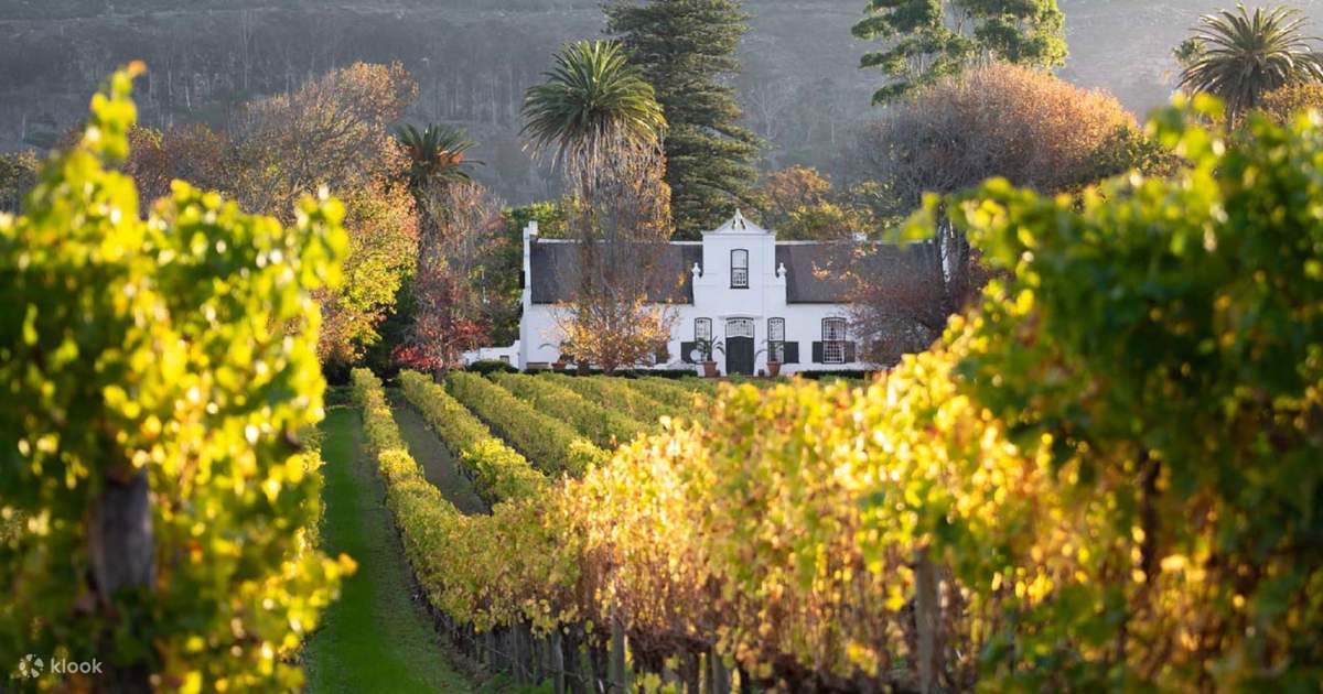 Cape Town Wine Story With Wine Tastings Private Day Tour - Klook